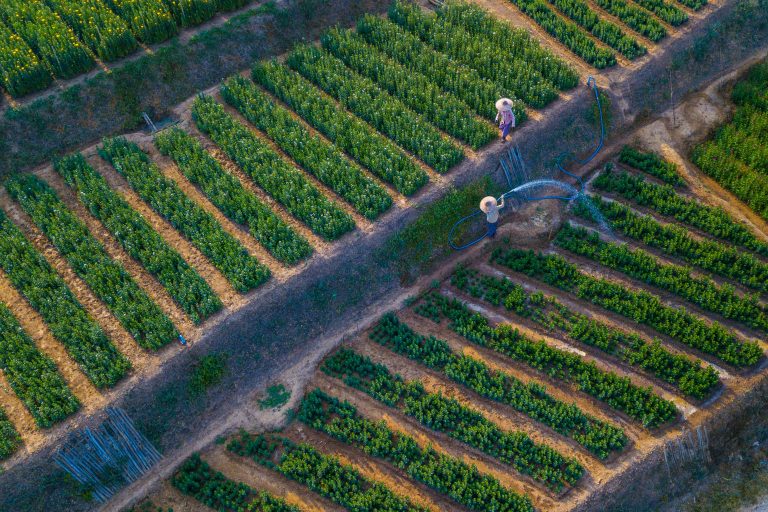 Smart Farming - Farm Trader