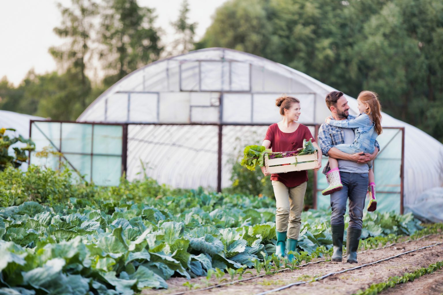 Starting a Farm Business: A Checklist for Beginners - Farm Trader