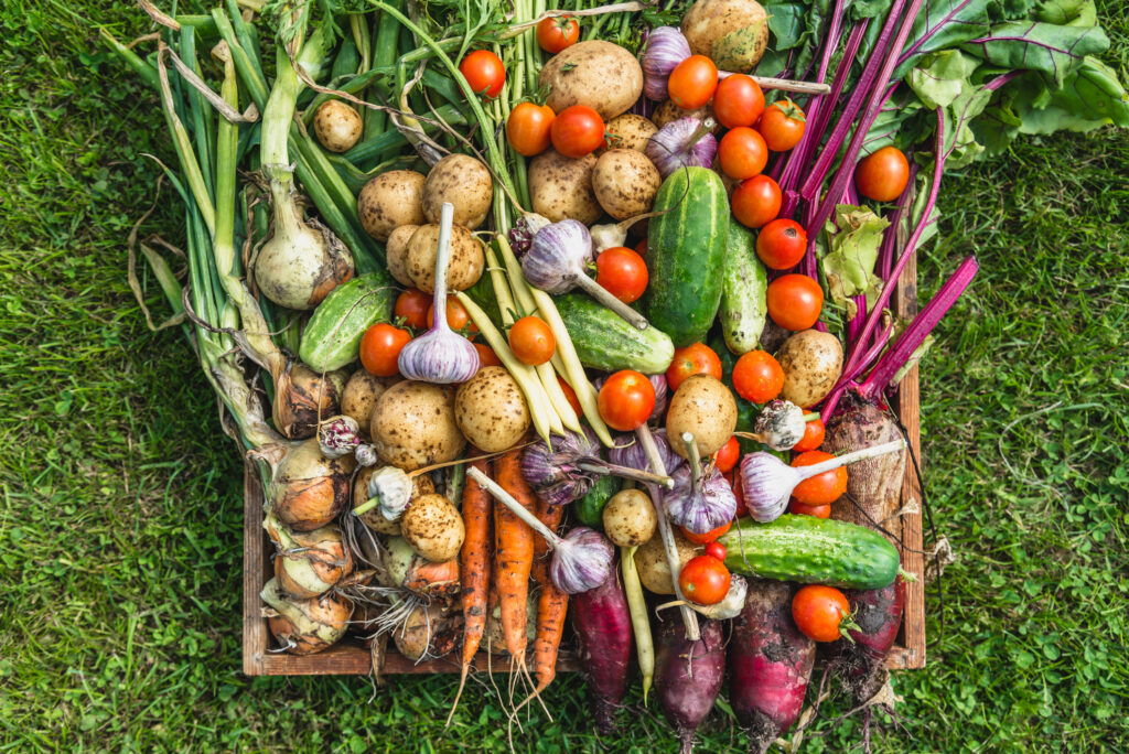 Spring Produce Guide: What’s in Season & Where to Find It - Farm Trader