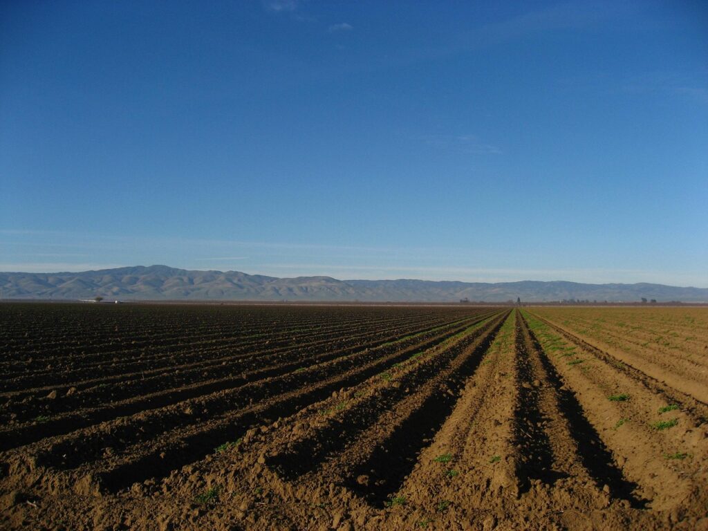 Agriculture Grants This Year: Opportunities for Farmers and Growers ...