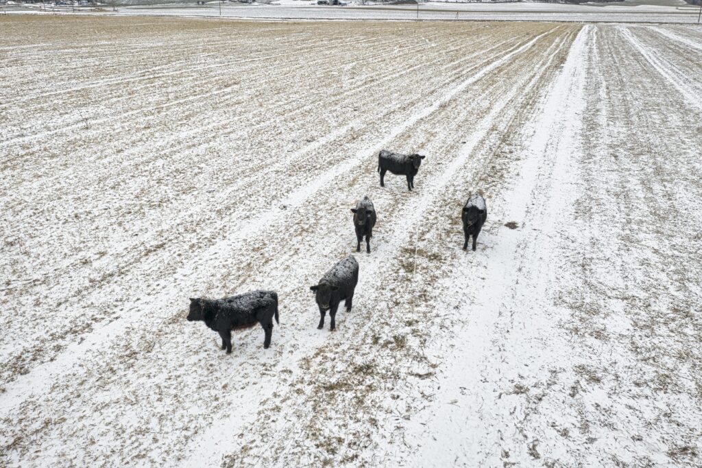 Agriculture News Today: January 5 - Farm Trader