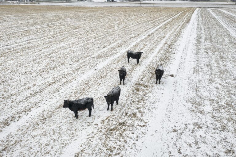 Agriculture News Today: January 5 - Farm Trader