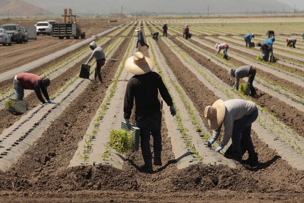 California Water Allocation Cuts Create Challenges for Central Valley ...